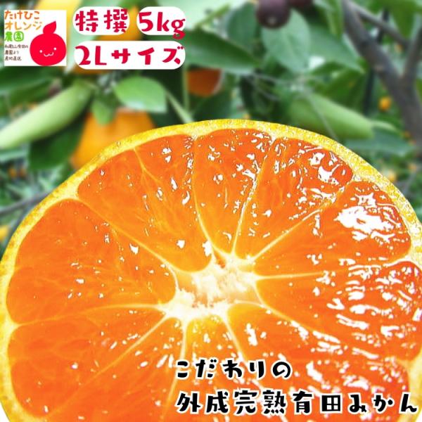 【発売日：2026年11月25日】外成完熟有田みかんは太陽の光をいっぱいに浴びた甘みたっぷりの完熟有田みかんです。本場紀州和歌山の農園より送料無料で産地直送いたします。お歳暮ギフトにも最適な新鮮で甘みいっぱいの外成完熟有田みかんを当園でお取...
