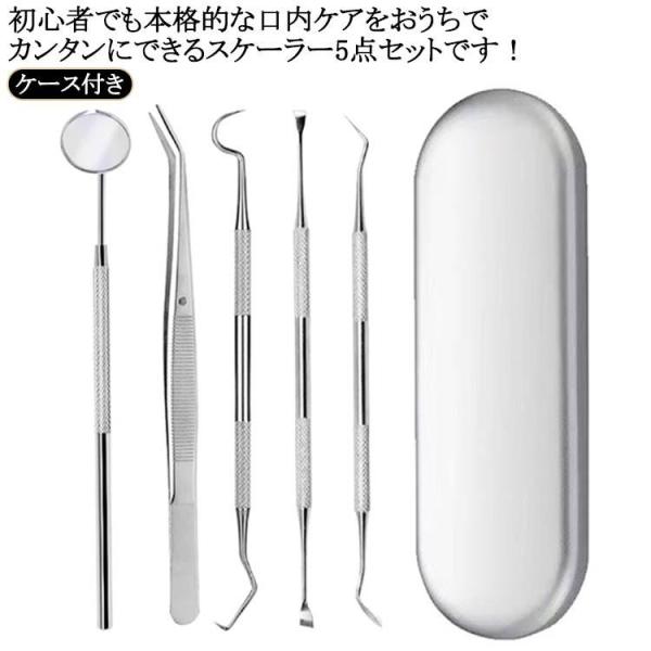 セット内容：収納ケース×1?鎌型ツール×2 かき出し棒×1?ピンセット×1?歯用ミラー×1