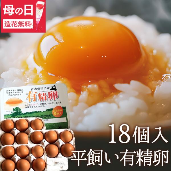 【商品説明】 ■店舗：田子たまご村 ■セット内容：平飼い有精卵　 18個 ■原材料名：卵(青森県産) ■賞味期限：生食14〜28日間(季節によって変わります。賞味期限シールをご参照下さい。 ) ■保存方法：冷蔵検索:高級 日本一 タマゴ 緑...