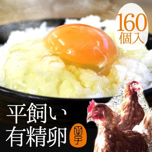 【商品説明】 ■店舗：田子たまご村 ■セット内容：平飼い有精卵　 160個入(生卵128個+破損保証32個) ■原材料名：卵(青森県産) ■賞味期限：生食14〜28日間(季節によって変わります。賞味期限シールをご参照下さい。 ) ■保存方法...