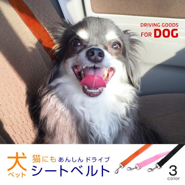 犬用（ペット用） シートベルトペットを車に乗せる時の安全グッズ。車内での行動範囲を制限できます。車の外でもそのままリードとしてもご使用になれます。座席のヘッドレストにかけるだけの簡単取付。高い位置にリードがあるのでペットの足に絡まりません。...