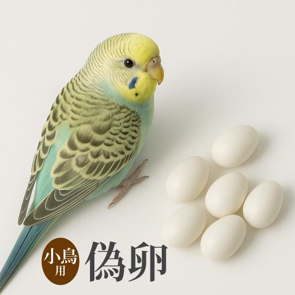 小鳥の産卵調節用の偽卵。擬卵（ぎらん）。産卵の回数を制限し、メス鳥の体の負担を軽減します。・サイズ(約） 20mm×13mm ・内容量 6個 ・広告文責 株式会社スポット　TEL:06-6902-7681 ・販売元 株式会社アメージングクラフト
