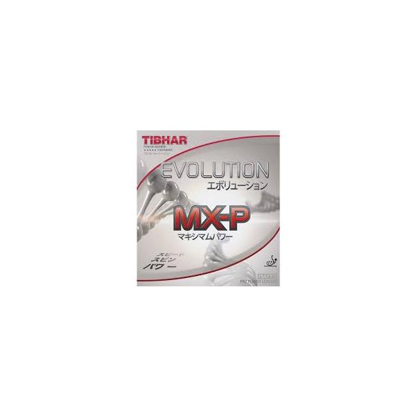 スピード、スピン、コントロールのすべてを高レベルなバランスで実現させているティバーの看板ラバー。サムソノフをはじめ、多くの契約選手が使用している。世界で戦う武器を手にしよう『エボリューション』 シリーズ総勢40名もの開発者、技術者、トップ選...