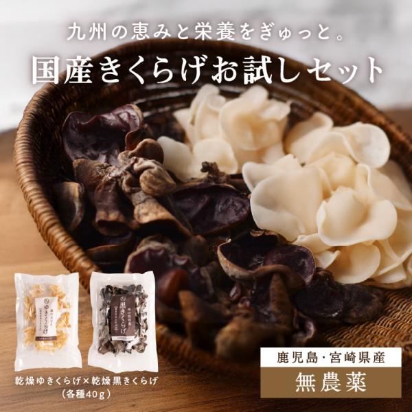 【商品名】乾燥キクラゲセット【内容量】黒きくらげ40g、ゆきくらげ40g【使用方法】水またはぬるま湯で戻し料理にお使い下さい。水戻し後は、必ず加熱調理を行ってください。熱湯で30秒ほど茹でるか、炒め物に使う場合は湯通し不要です。※黒きくらげ...