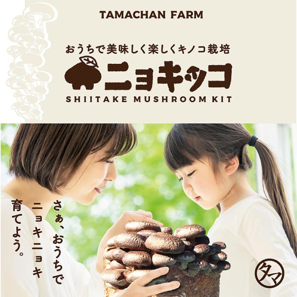 【発売日：2021年11月11日】【商品詳細】しいたけ栽培キット【重量】2kg【内容量】菌床・説明書・栽培袋【栽培方法】商品到着後、すぐに袋から開けて栽培を開始してください。【原材料】九州産広葉樹おが・栄養体・水（霧島天然水）【注意事項】到...