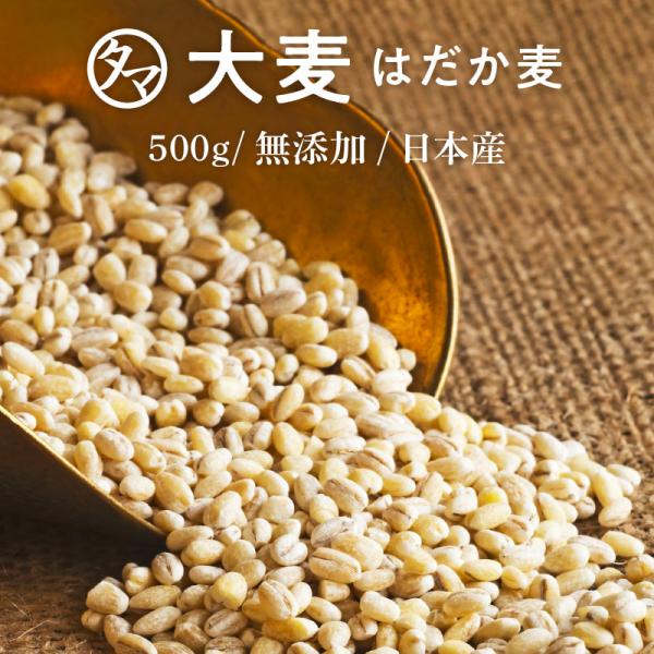 【商品名】大麦(はだか麦)【内容量】500g（250g×2袋)【使用方法】お米３合に対し、大麦約50gを入れ、水を大麦の2倍の量100ccを加え30分程度浸して、炊飯して下さい。大麦の量は、お好みによって加減して下さい。【原材料】大麦【賞味...