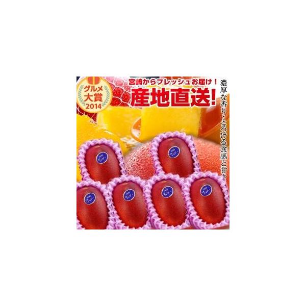 【商品名】宮崎完熟マンゴー　季節限定品【内容量】中玉サイズ6玉 (約250g×6玉)【賞味期限】到着後約3日〜5日　※出来るだけお早めにお召しあがり下さい。【産地】宮崎県産【原材料】マンゴー【使用方法】そのままでも、凍らせてアイスのトッピン...
