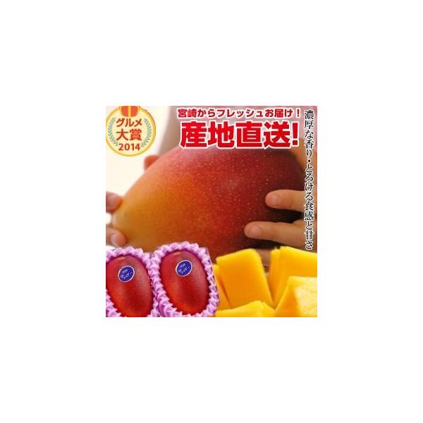 【商品名】宮崎完熟マンゴー【内容量】特大２玉（約４５０ｇ×２玉）【産地】宮崎県産【配送方法】宅配便■黒い斑点について■果皮表面に出来る黒い小さな斑点は、もともとマンゴーの木が保有しているタンソが原因です。バナナでいうシュガースポットのような...