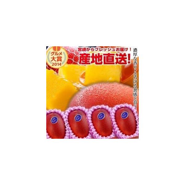 【商品名】宮崎完熟マンゴー【内容量】特大４玉（約４５０ｇ×４玉）【産地】宮崎県産【配送方法】宅配便■黒い斑点について■果皮表面に出来る黒い小さな斑点は、もともとマンゴーの木が保有しているタンソが原因です。バナナでいうシュガースポットのような...