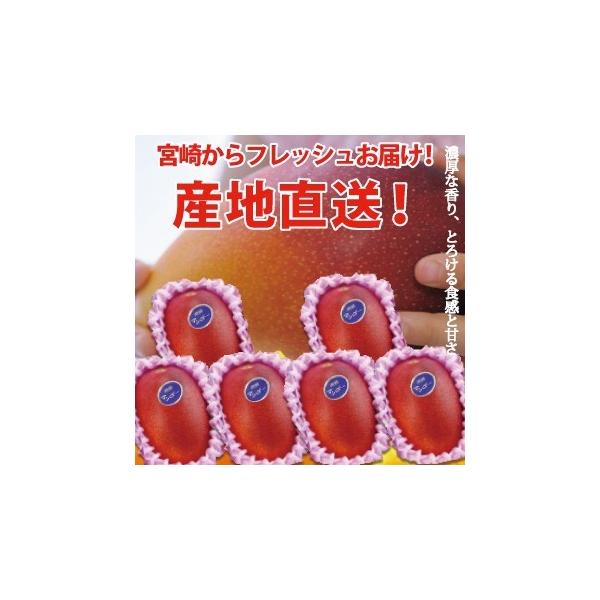 【商品名】宮崎完熟マンゴー【内容量】特大６玉（約４５０ｇ×６玉）【産地】宮崎県産【配送方法】宅配便■黒い斑点について■果皮表面に出来る黒い小さな斑点は、もともとマンゴーの木が保有しているタンソが原因です。バナナでいうシュガースポットのような...