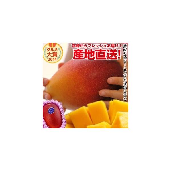 【商品名】宮崎完熟マンゴー【内容量】特大１玉（約４００ｇ〜６００ｇ）【産地】宮崎県産【配送方法】宅配便■黒い斑点について■果皮表面に出来る黒い小さな斑点は、もともとマンゴーの木が保有しているタンソが原因です。バナナでいうシュガースポットのよ...