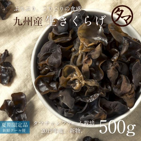 【商品名】生きくらげ【内容量】５００ｇ【賞味期限】約2週間【保存方法】天日に1日干す。タッパーに入れて冷凍庫で保存【原材料】キクラゲ【保存方法】野菜室にて保存。【長期保存方法】天日に1日干す。タッパーに入れて冷凍庫で保存。【生産地】日本/九...