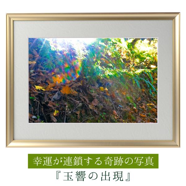 ◆【奇跡の写真】玉響の出現　/開運グッズの専門店「たまふり屋」■商品の特徴スピリチュアル雑誌で特集が組まれるほど、人気となっている秋元氏の奇跡の写真シリーズです。気に入った写真から、写真力を感じてみませんか？■こんな悩みにおススメ！壁に何か...