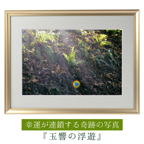 ◆【奇跡の写真】玉響の浮遊　/開運グッズの専門店「たまふり屋」■商品の特徴スピリチュアル雑誌で特集が組まれるほど、人気となっている秋元氏の奇跡の写真シリーズです。気に入った写真から、写真力を感じてみませんか？■こんな悩みにおススメ！壁に何か...