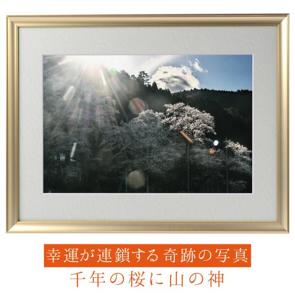 ◆【奇跡の写真】千年の桜に山の神　/開運グッズの専門店「たまふり屋」■商品の特徴スピリチュアル雑誌で特集が組まれるほど、人気となっている秋元氏の奇跡の写真シリーズです。気に入った写真から、写真力を感じてみませんか？■こんな悩みにおススメ！壁...
