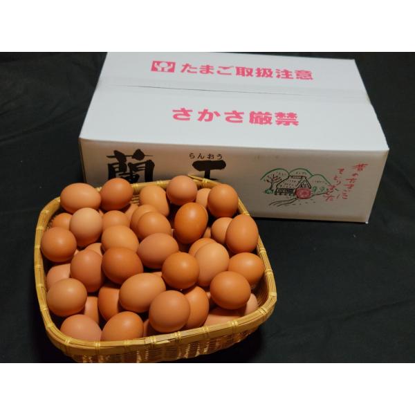 【お願い】昨年末より穀物市況が大幅に続伸し飼料価格の高騰が続いております。当店といたしましても良いお品をより安くご提供できますよう努力してまいりましたが、やむを得ず商品価格を随時変更させていただくこととなりました。今後もより一層より良い品を...