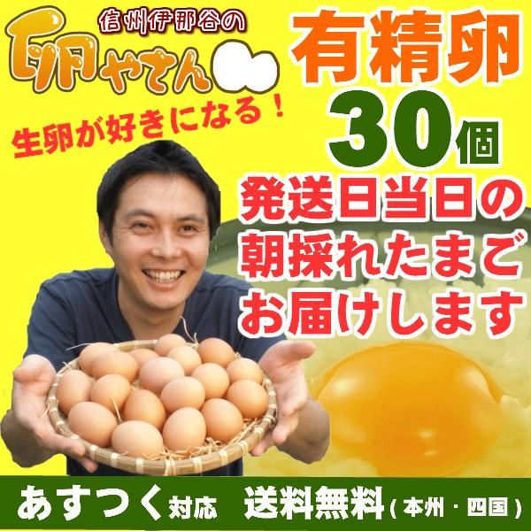 親鶏はあのマンガ美味しんぼ　15巻　究極対至高に出てくるゴトウ130と同じ親鶏を有精卵で 自然イッパイの信州伊那谷で昭和38年から受け継がれる「手作りの餌」で薬に頼らない骨太な親鶏を育てています。  【こんな方におすすめ】 ・卵かけご飯が食...