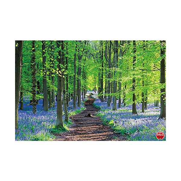 【ご購入後の当店からの連絡はご登録のメールアドレスに通知いたします。必ずご確認ください】妖精が住んでいると伝えられる幻想的なブルーベルの世界(C) 2021 Dominic Davison Licensed by MGL