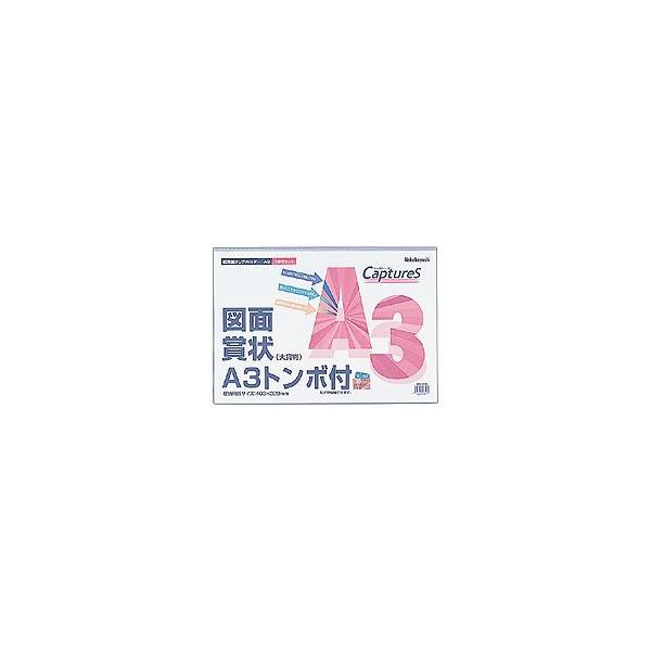 【商品概要】本体寸法:A3/タテ498xヨコ350mm、収納用紙サイズ:タテ483xヨコ329mm本体重量:290gポケット:横入れ10ポケット表紙/ポリプリピレン厚み0.2mm、溶着式製本【商品説明】【商品詳細】ブランド：ナカバヤシ(Na...