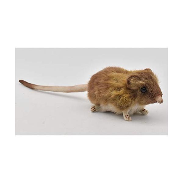 【商品概要】商品タイプ：リアルな動物のぬいぐるみ動物：ハネジネズミ【HANSAとは】1972年にオーストラリアで創業して以来、地球上に生息する動物を中心に様々な生物を研究し、細部までリアルに再現したぬいぐるみを製造しております。すべてのHA...