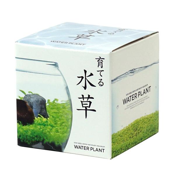 【商品概要】原産国:日本セット内容:ガラス鉢 土 種 石 流木 説明書サイズ:12.6x12x11.6cm【商品説明】【商品詳細】ブランド：聖新陶芸商品種別：DIY・工具・ガーデン商品名：聖新陶芸 育てる水草 S 約12.6x12x11.6...