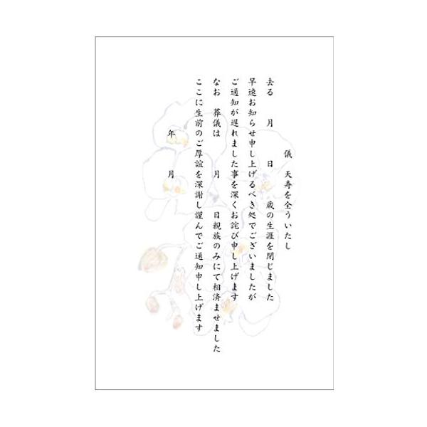 【ご購入後の当店からの連絡はご登録のメールアドレスに通知いたします。必ずご確認ください】【商品概要】枚数：10枚セット宛名面：私製はがき（切手を貼るタイプ）続柄、氏名、年齢等の記入を手書きするタイプです。【商品説明】【商品詳細】ブランド：メ...