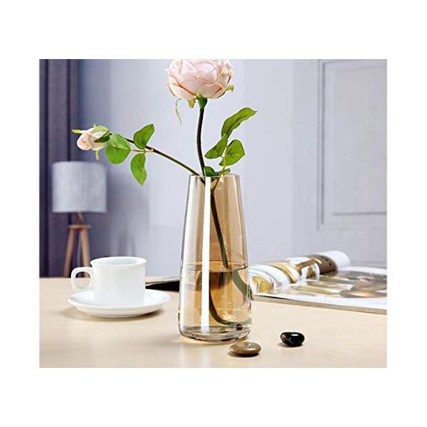 【商品概要】素材：この花瓶は高品質の半透明のガラスで作られているため、この花瓶は耐久性があり、使用してもしっかりしています。サイズ：高さ約22cm、瓶底直径さ約9.5cm、瓶口直径さ約6.5cm; 重量：約418gこの花瓶は生花用の水を入れ...