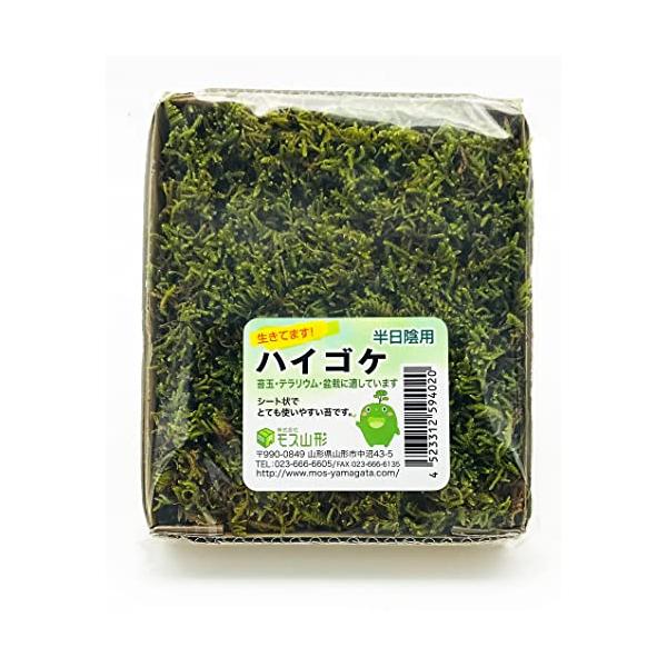 【商品概要】半日陰用苔玉・テラリウム・盆栽に適しています。シート状でとても使いやすい苔です。天然素材のため、写真と実際の商品とは細部や色合いが異なる場合がございます。【商品説明】【商品詳細】ブランド：モス山形(mos yamagata)商品...