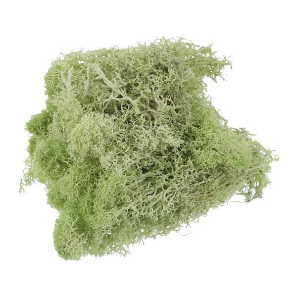 【商品概要】重量：50g/1.8OZ; カラー：ローン緑; 材質：乾燥苔; パッキングリスト: 1個 x プリザーブドモス利点: 当社のプリザーブド苔は、自然に生えた苔を脱水、脱色、乾燥、染色などの複雑な工程を経て加工したものです。苔の組織...