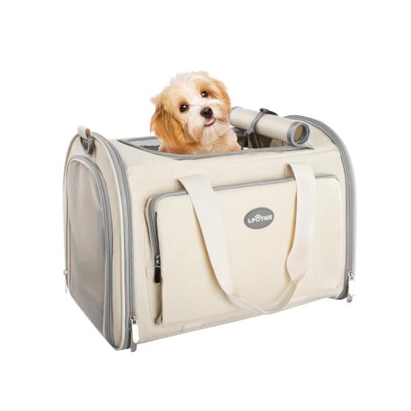 ■システム反映の都合上、ご購入後でも品切れになっている場合があります。その場合、ご登録のメールアドレスに通知致します。必ずご確認をお願いします。■サイズ・カラー等の記載が無い場合や複数記載がある場合があります。ご不明点は、ご購入前にご質問く...