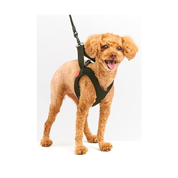 ブラック/M/003-4023・パッケージ個数:1・本体サイズ (幅X奥行X高さ) :60×1×15cm・本体重量:0.04kg・原産国:日本