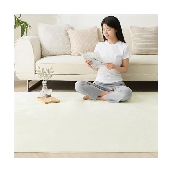 アイボリー/200×250cm/-・Size:200×250cmColor:アイボリー・フランネル素材でオールシーズン快適にきめが細かく柔らかいマイクロファイバーを高密度で織り込みましたラグマットはなめらかな触りだけでなく、毛の流れや光の当...