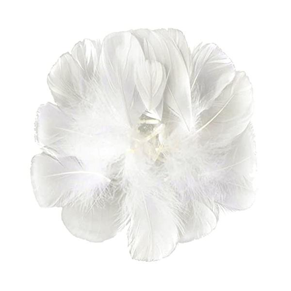 ホワイト/-/-・Color:ホワイト・パッケージ個数:1・お得なセット：大容量で、200本の高品質の羽が含まれています。お誕生日パーティー、結婚式、パーティー、その他のファッションなど、すべてのニーズにお応えします。・美しいシーン羽根は天...