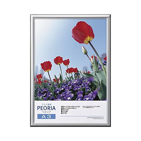 単品シルバー/A3/FAPE-SVA3・Color:シルバーSize:A3Style:単品・パッケージ個数:1・フレーム材質 : アルミ製・重量: 630g・パッケージ:PP袋入・画面サイズ : 283×406mm・前面板 : PET板