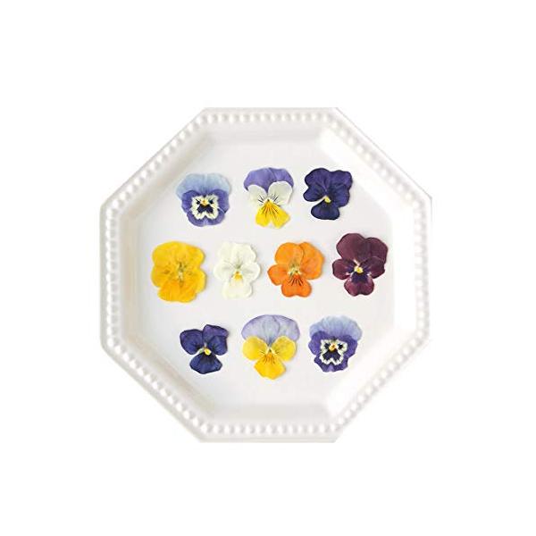 ・ビオラ・Mix50 50シート（x 1) ・特別に栽培したエディブルフラワー（食用花）を押花に加工した、「食べるおしばな」です。・ビオラの押花を花色おまかせで50枚セットにしたMixパックです。花色の指定はできませんので予めご了承ください...
