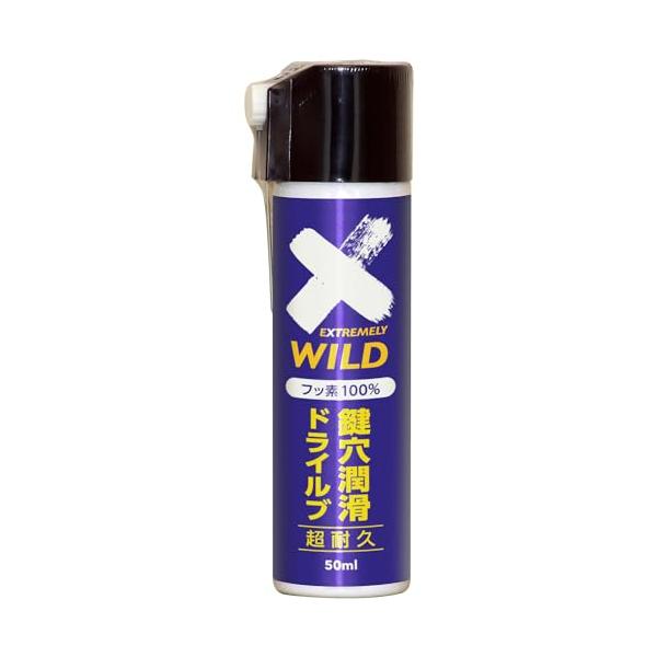 3鍵穴潤滑剤(超耐久)-/50ml/939・Size:50mlStyle:3鍵穴潤滑剤(超耐久)・パッケージ個数:1・グループコード:DKL-001・成分：フッ素溶剤、フッ素オイル、フッ素樹脂・用途：シリンダー鍵の潤滑