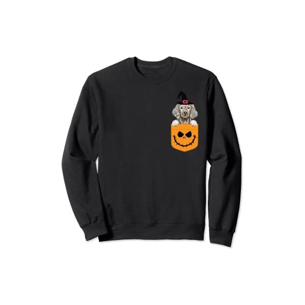 ハロウィンブラック/S/-・このハロウィンポケットイングリッシュセッター Scary Jack O Lantern 商品を4脚のお友達を歩いて見せましょう。 If You Are A Crazy Dog Lover This Dog Gif...