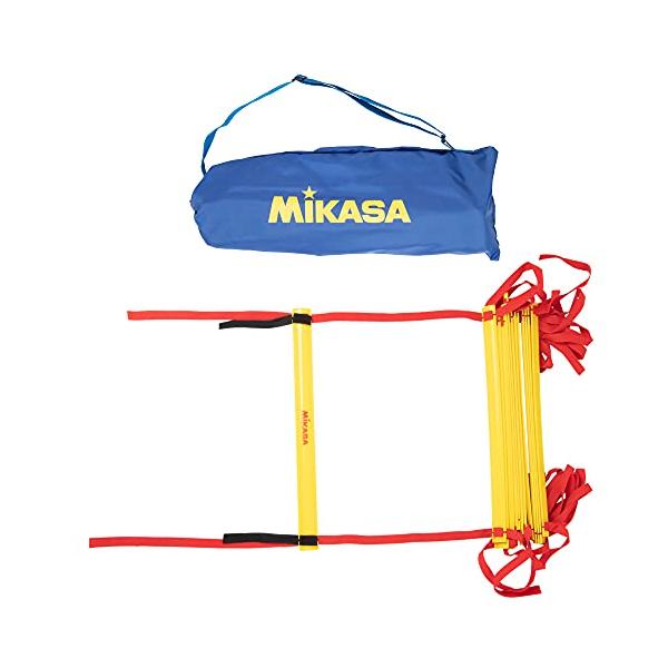 ・黄×赤  FLD2・基礎体力づくり、サッカーステップに最適・約5.7cm×幅50cm・ラダー取り付け間隔40cm(調節可能)・ラダープレート13枚 台湾製・材質:ポリプロピレン 重量約0.8kg