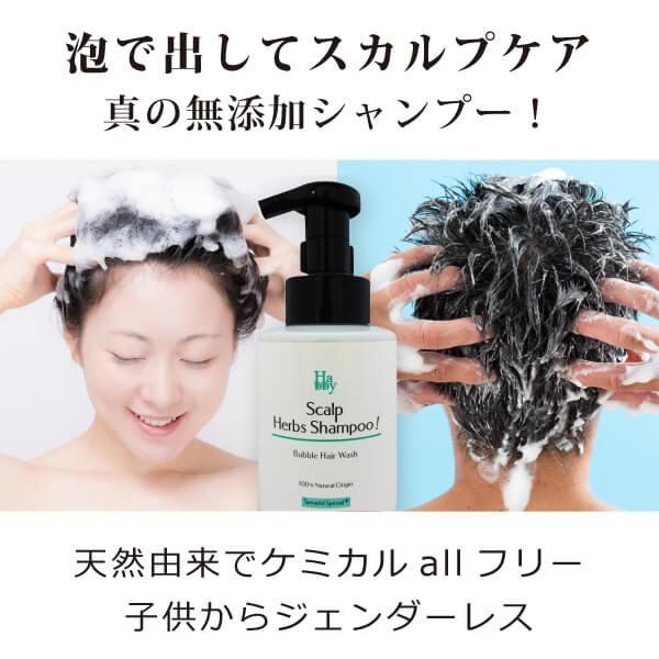 泡で出すオーガニックな無添加 地肌ケアシャンプー（アミノ酸）。天然由来100％ケミカルフリーシャンプー。頭皮の臭い・フケ・痒み・べたつき・ダメージケア、ハリ・コシ・ボリューム・エイジングヘアに。子供から大人までメンズ・レディース不問のジェン...