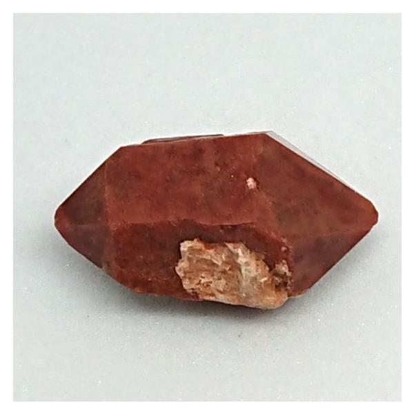 ◆産地: Chella, Valencia, SPAIN◆Jacinto de compostela（ファチント・デ・コンポステーラ、意味：コンポステーラのヒヤシンス）コンポステーラのヒヤシンスと呼ばれるのは、聖地サンチアゴ・デ・コンポステ...