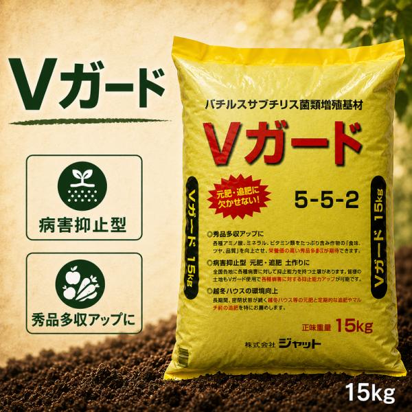 ◆商品の特長◇Vガードはバチルスサブリチス菌類を増殖する培養基材として最適な各種アミノ酸を含む100％の有機肥料です。◇作付の2〜3週間前に5〜6袋（10ａ）施用すると、作土中の有機物の分解・腐熟を促進する有効菌（バチルスサブリチス菌等）が...