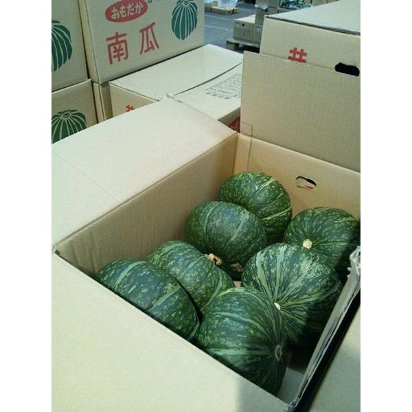 ●名称　かぼちゃ　九州各県産　1ケース約10ｋｇ　4玉〜8玉入●産地名　九州各県産●内容量　1ケース約10ｋｇ入●規格・サイズ　サイズは4玉〜8玉入●保存方法　生鮮食品であるため、到着後はすぐに開封し、日の当たらない涼しい所で保存してくださ...