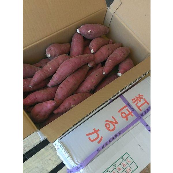 ●名称　紅はるか　九州各県産　1ケース  約5kg●産地名　九州各県産●内容量　1ケース約5kg●規格・サイズ　L・M・Sの中からいずれか　サイズ指定不可●保存方法　生鮮食品であるため、到着後はすぐに開封し、日の当たらない場所で常温で保存し...