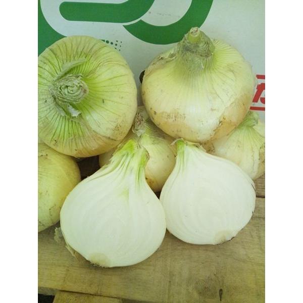 ●名称　新たまねぎ・たまねぎ　佐賀県産1ケース　約5kg●産地名　佐賀県産●内容量　1ケース約5kg●規格・サイズ　サイズは2L・L・Mのいずれか　サイズ指定不可　　●保存方法　生鮮食品であるため、到着後はすぐに開封し、日の当たらない涼しい...