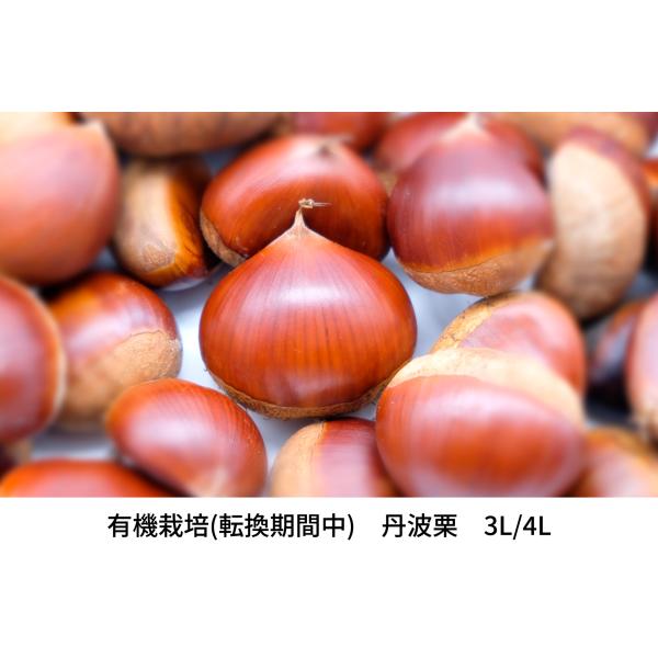 「ずば抜けて高品質な栗」――その答えを探す私たちの旅は近年、未来の環境に対する責任（SDGs）という、新たな視点を迎えました。美味しさの探求は、持続可能性の探求でもある。その想いが、私たちを次なる挑戦「自然農法」へと導きました。農薬や肥料に...