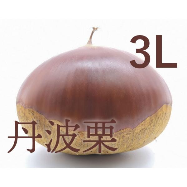 丹波農園の主力である3L栗です。丹波栗の名に恥じぬ大きさ品質を誇ります。銀寄、筑波、美玖里、石鎚の混合になります。いずれも食味には定評があり、丹波栗を代表する一級の品種です。とれとれは9月下旬、熟成は10月上旬から発送します。【内容】京都・...