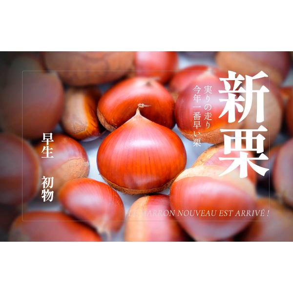 【発売日：2026年09月01日】一年でわずか2週間。早生丹波栗の収穫が始まりました。早生栗は、栗の季節のいちばん最初に実る「走り」の栗です。丹波栗として名高いのは、濃厚でずっしりとした大きい中生栗。早生栗は、みずみずしく、少しとがって、軽...