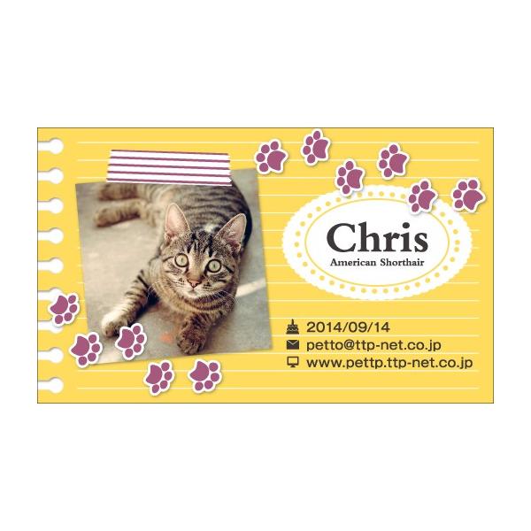 こちらはメール便での発送になります。ご注文後、お入れする写真画像をメール「yahoo@ttp-net.co.jp」まで送信ください。枚数:1セットにつき100枚サイズ:ヨコ91mm×タテ55mm用紙:・FF ホワイトPHO 115kg（白系...