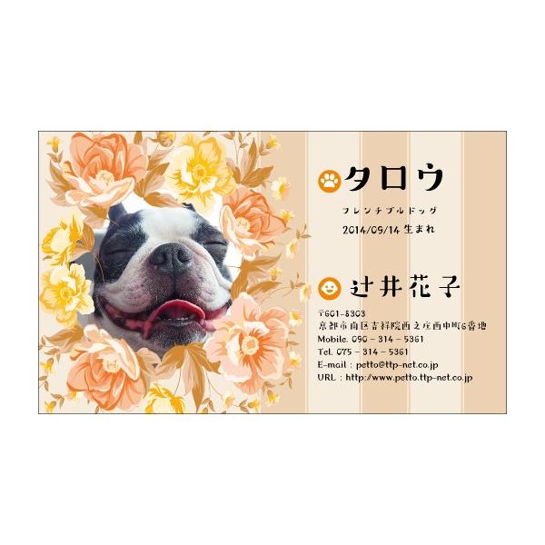 こちらはメール便での発送になります。ご注文後、お入れする写真画像をメール「yahoo@ttp-net.co.jp」まで送信ください。枚数:1セットにつき100枚サイズ:ヨコ91mm×タテ55mm用紙:・FF ホワイトPHO 115kg（白系...