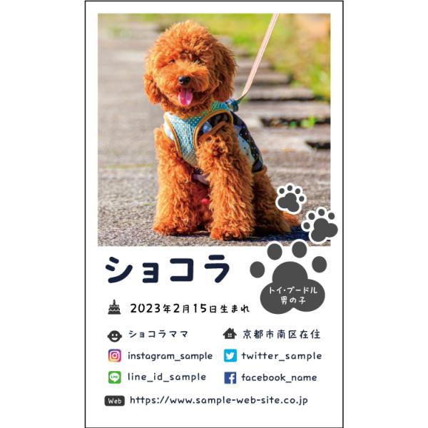 オフ会などでお使いいただける、SNSの情報がメインのシンプル名刺です。こちらはメール便での発送になります。ご注文後、お入れする写真画像をメール「yahoo@ttp-net.co.jp」まで送信ください。枚数:1セットにつき100枚サイズ:ヨ...